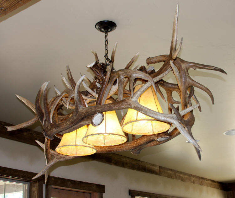 Antler pool table light store